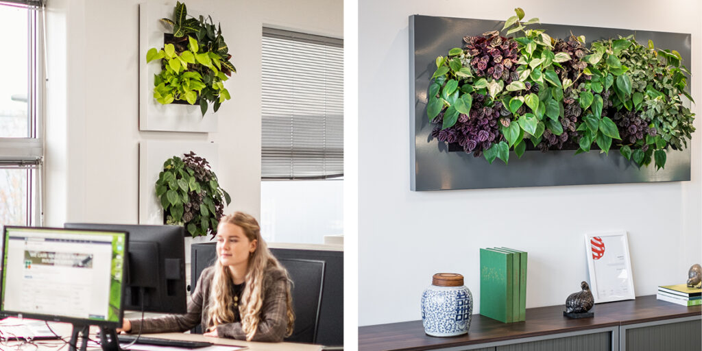 The Live Picture – Future ECOsystems