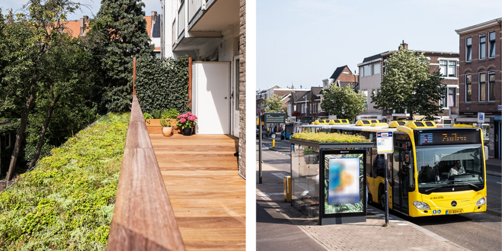 MobiRoof | Instant Green Roof