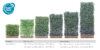 Mobilane Green Screen | An instant green hedge panel | Mobilane