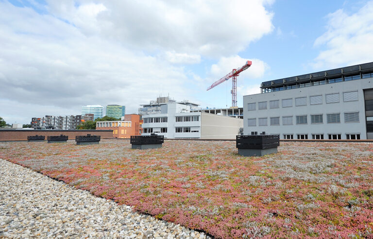 1310 MobiRoof cassettes with instant sedum planting on rooftop - Mobilane