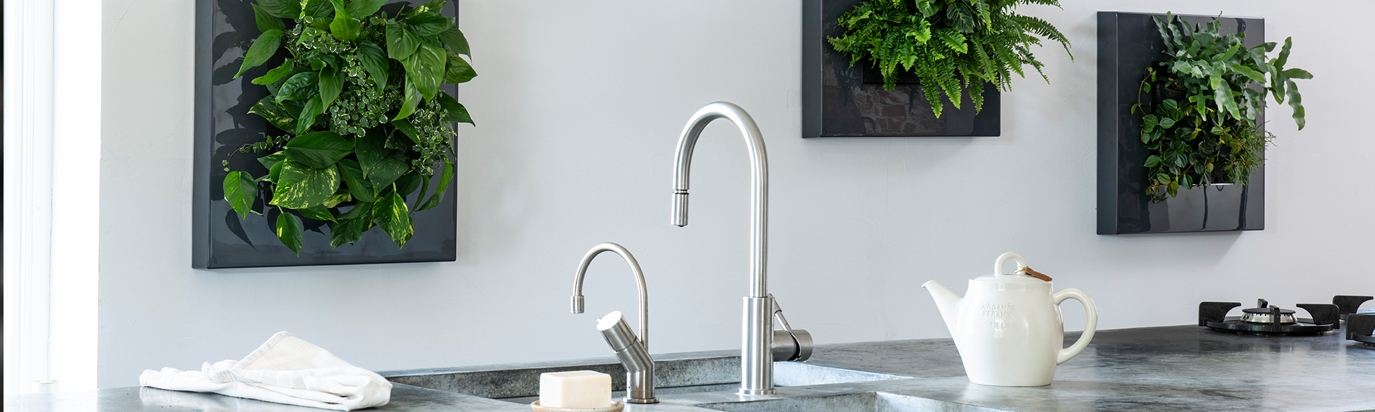 3 working from home tips: a productive (green) workspace - Mobilane