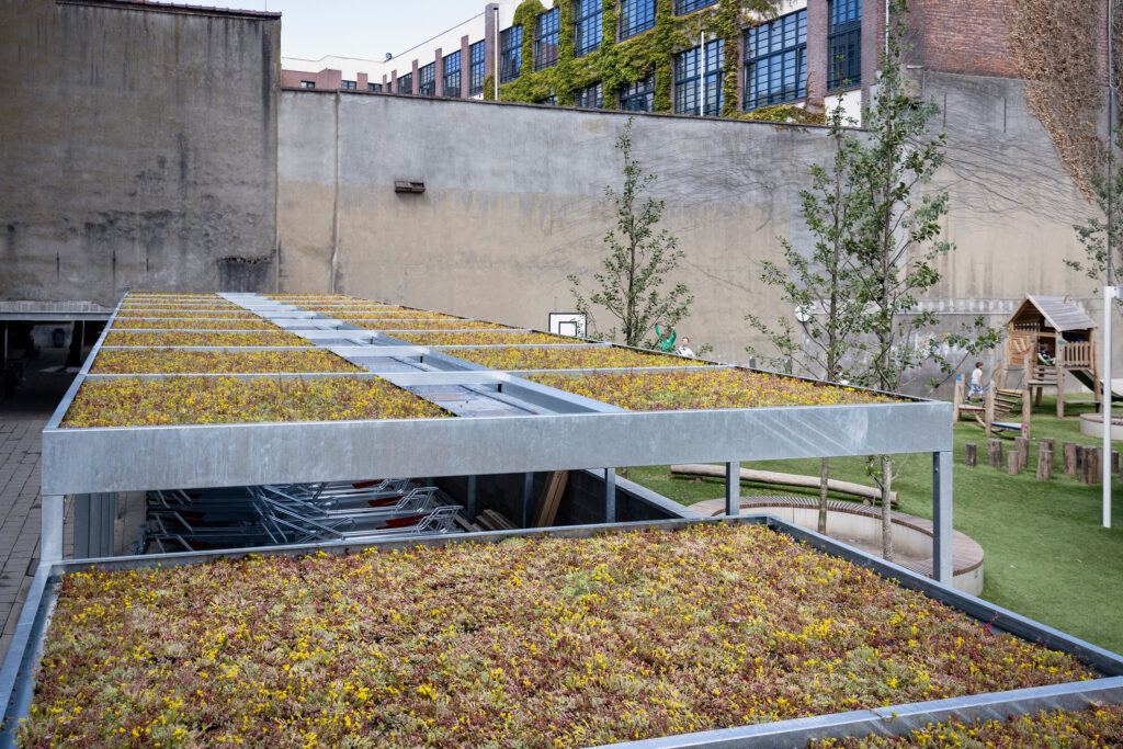 Green roofs on bike shelters and the benefits of green roofs