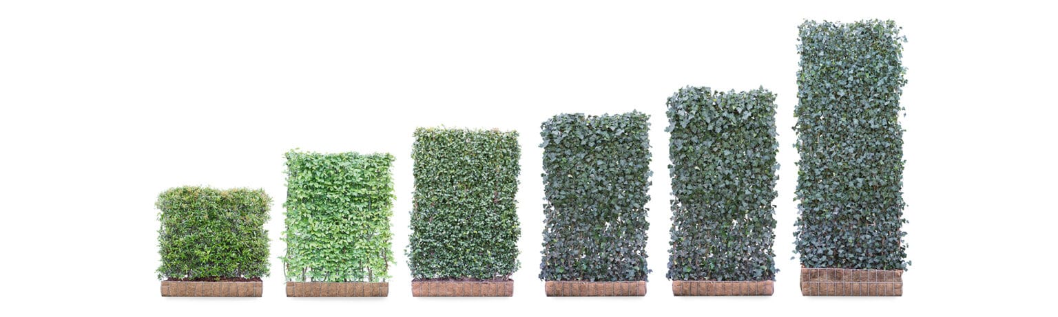 Groene tuinafscheiding en direct privacy met Mobilane Kant & Klaar Haag