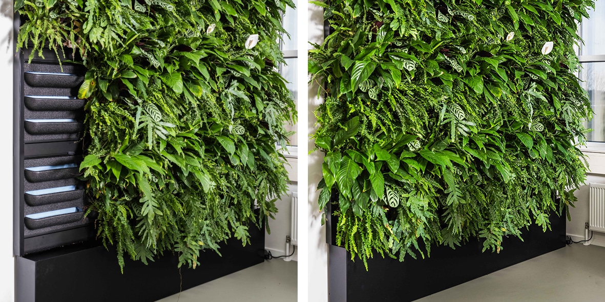 LivePanel Indoor creates a living plant wall | Mobilane