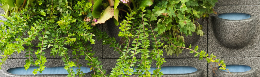 MobiPanel green wall system for any type of wall - Mobilane