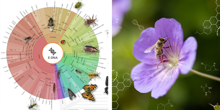 MobiPanel living wall system for any type of wall - Mobilane