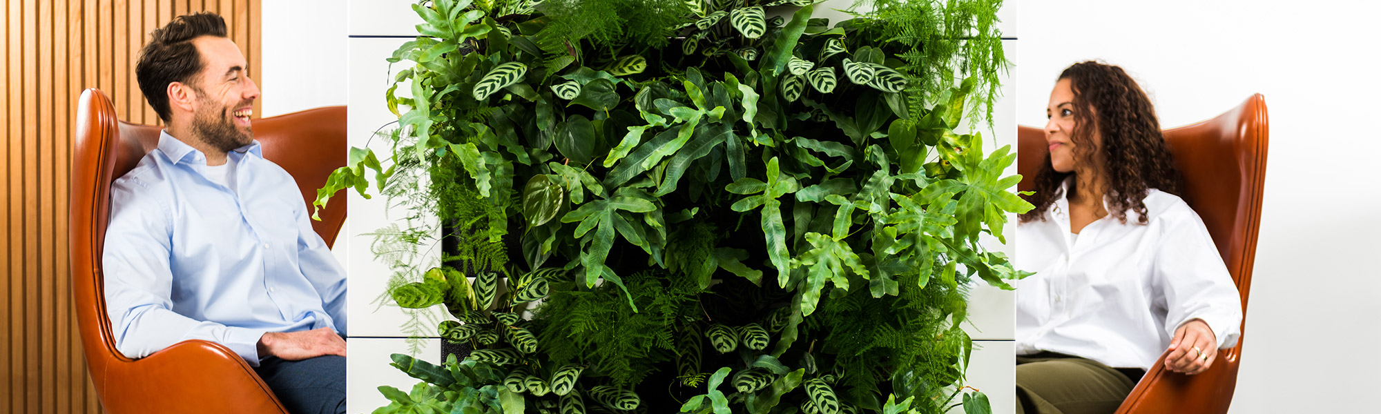 The modular green room divider: meet LiveDivider PLUS