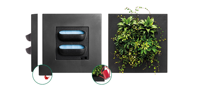 Live Picture GO! – Future ECOsystems