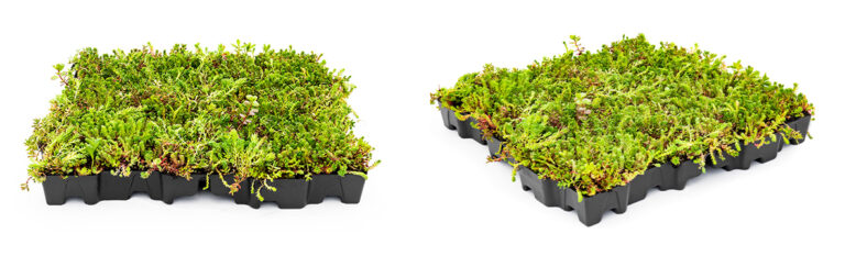 Lightweight green roof system MobiRoof ECO - Mobilane