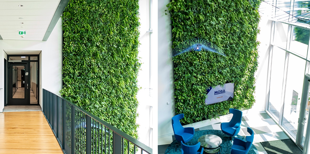 » A 10-metre high vertical green wall in the head office of Moba