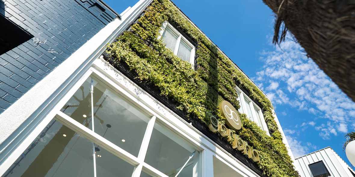 What is urban greening? - Mobilane