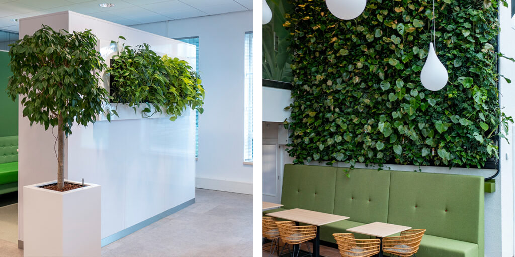 A living wall and jungle in the office of Planon - Mobilane