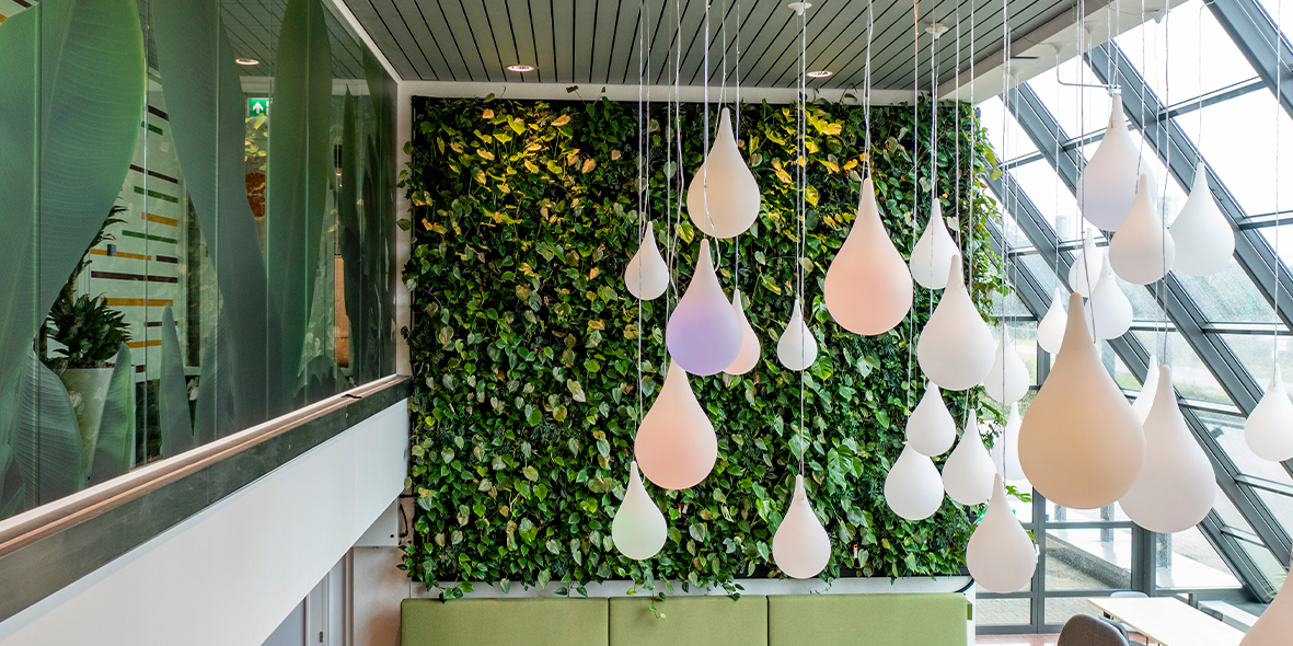 A living wall and jungle in the office of Planon - Mobilane