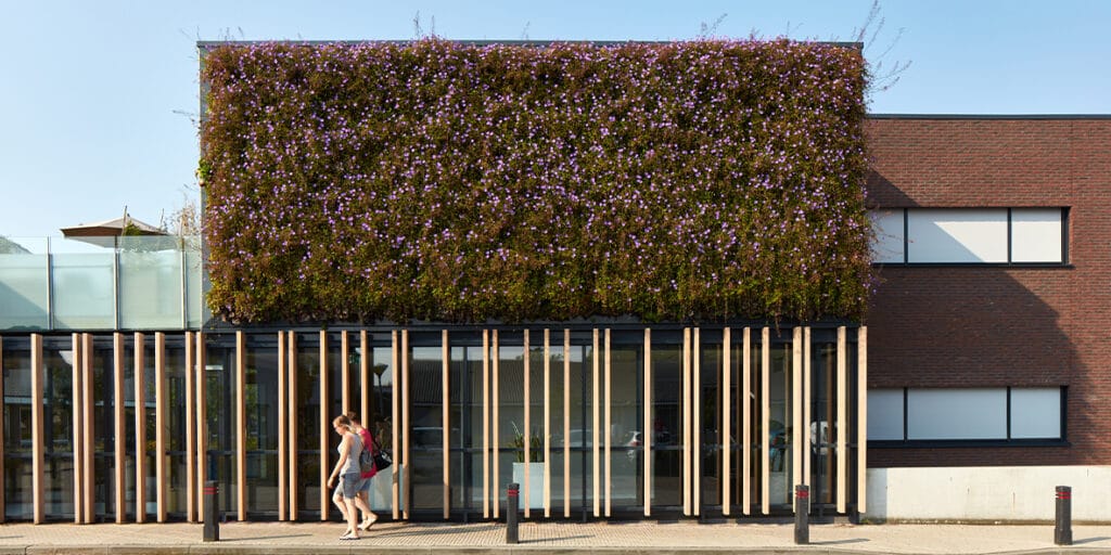 Urban greening with ready-to-use green solutions