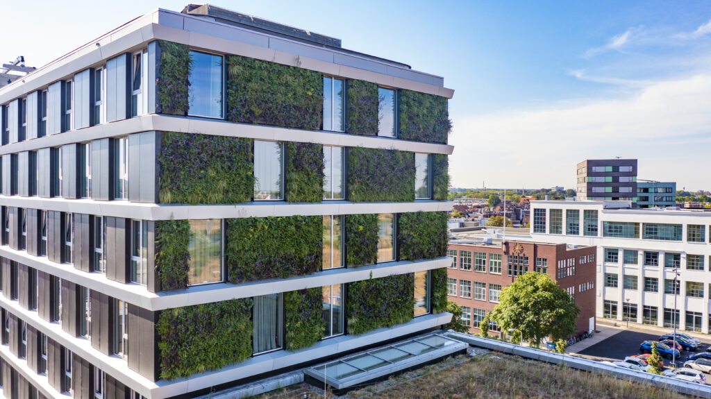 Een groene gevel is een levende plantenwand buiten | Mobilane