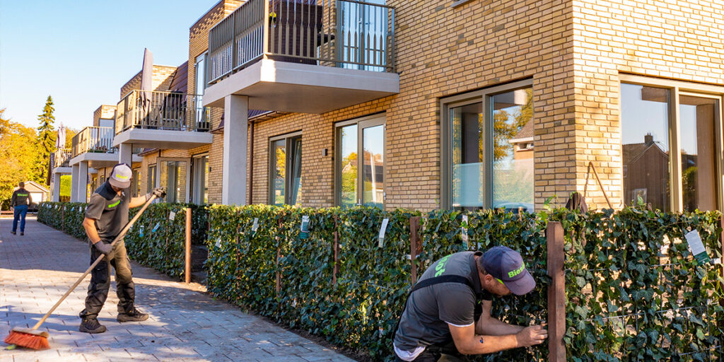 Instant Green Hedging Screen | Mobilane