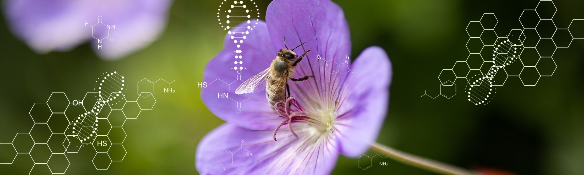 DNA InsectScan for living walls | Mobilane