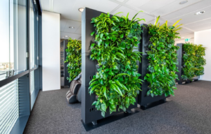 Living green room dividers dress up office in Amsterdam