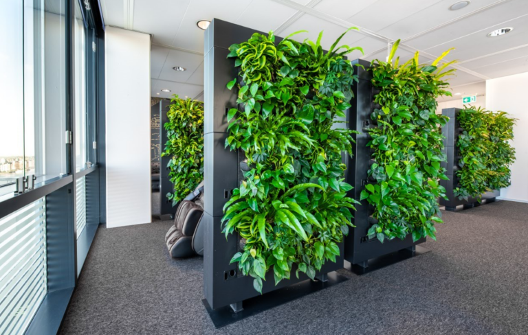 Living green room dividers dress up office in Amsterdam