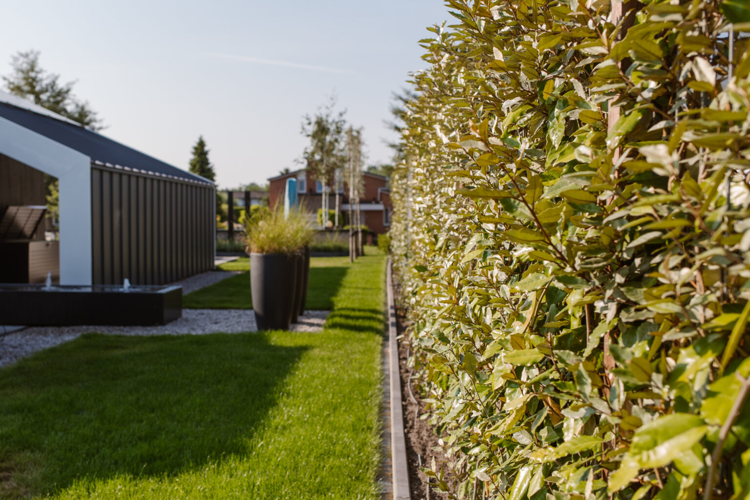 Elaeagnus in the Spotlight | Read more at Mobilane!