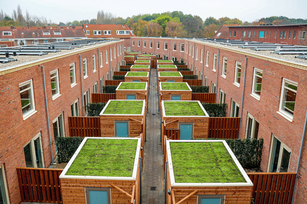 A climate-friendly garden with Mobilane ready-made Green Screens