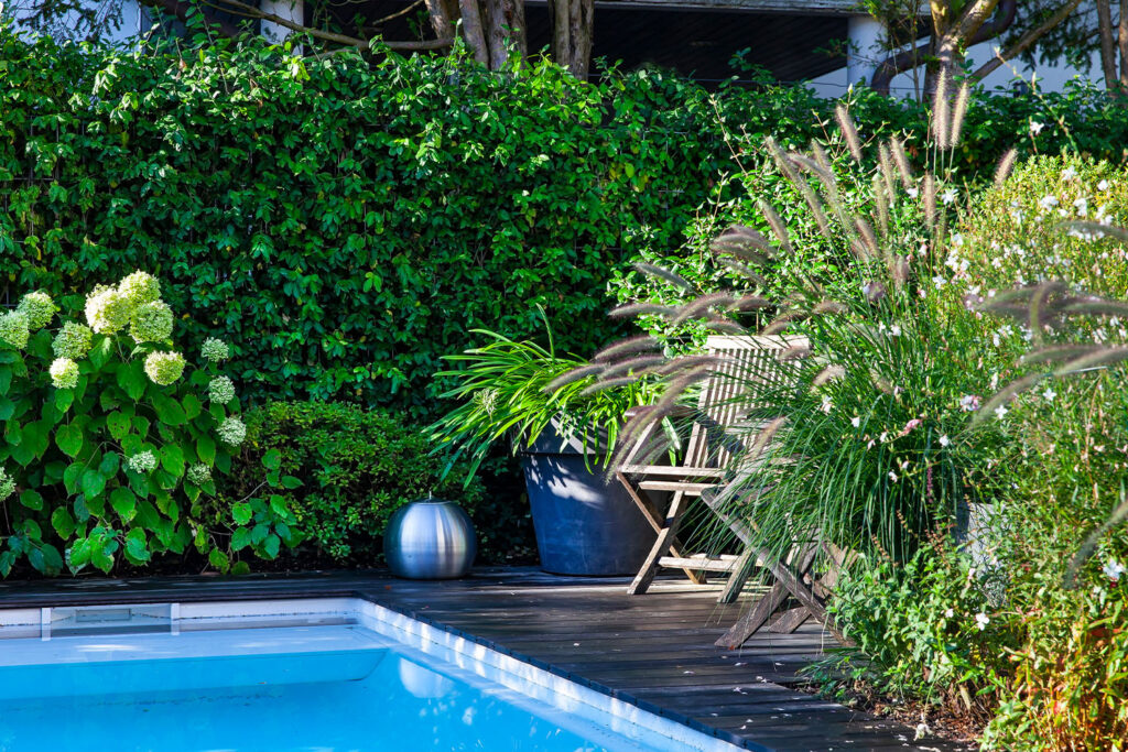 Een groene afscheiding in een handomdraai voor privacy in de tuin