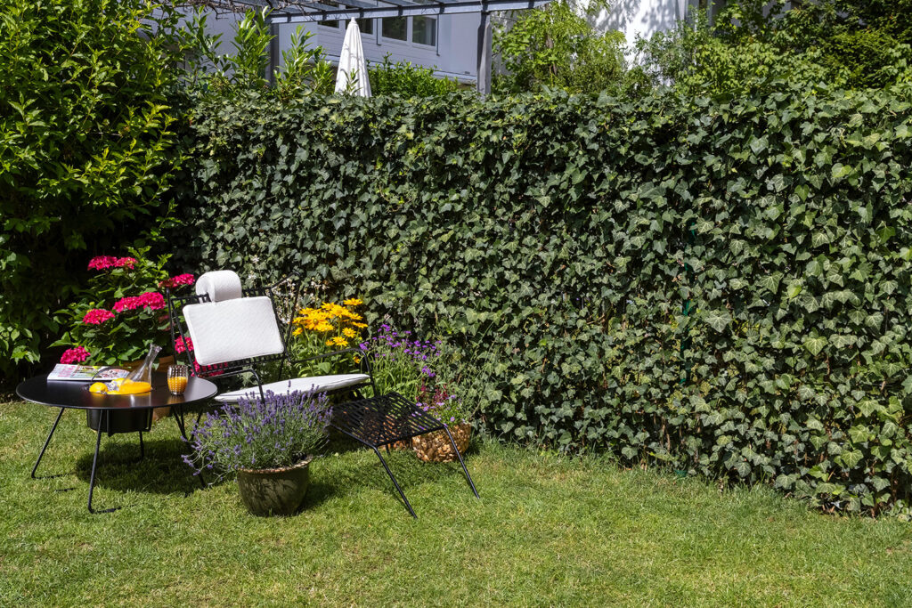 Mobilane's Green Screen the perfect solution for privacy