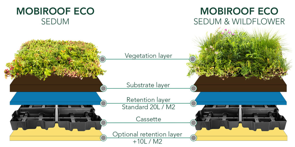 » Sedum Roofs: A sustainable approach to water management