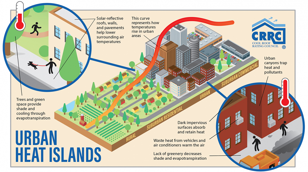 Cooling cities with green facades by S. Lenzholzer & M. Jimenez