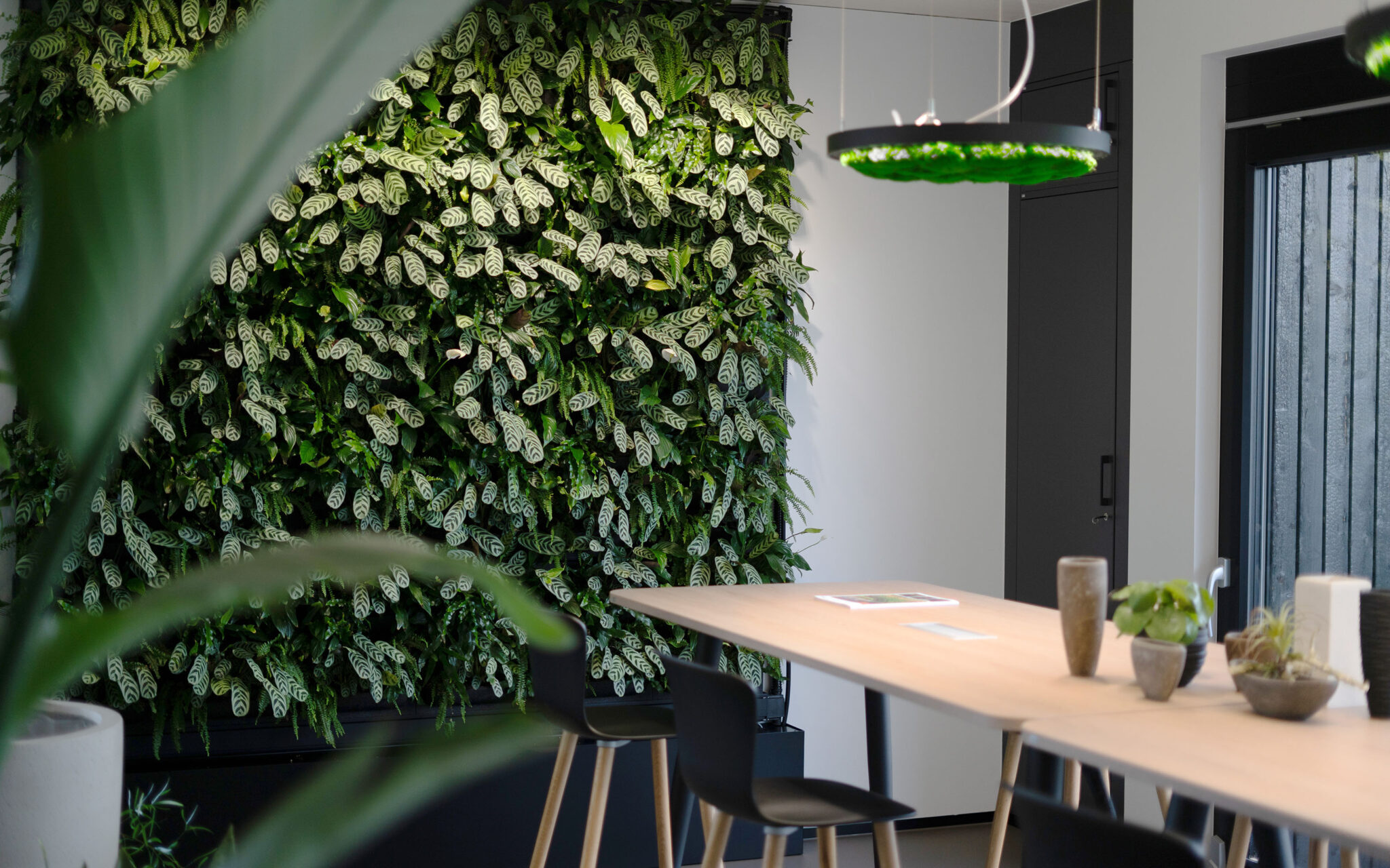 Green company building for a positive impact on environment