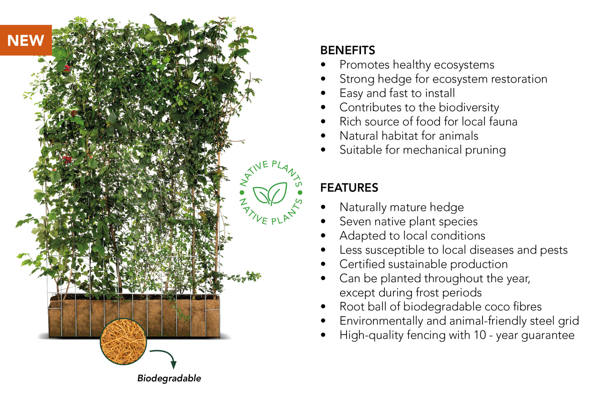 Green Screen ECO: A sustainable addition