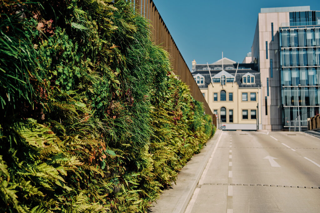 Living walls to enhance the new International Finance Centre