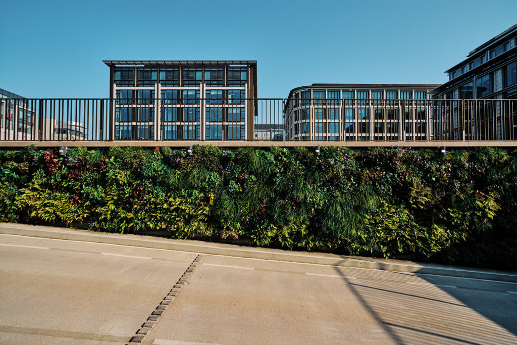 Living walls to enhance the new International Finance Centre