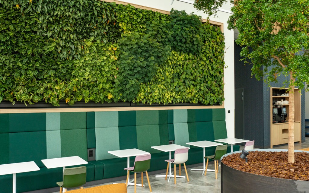 How green walls improve humidity