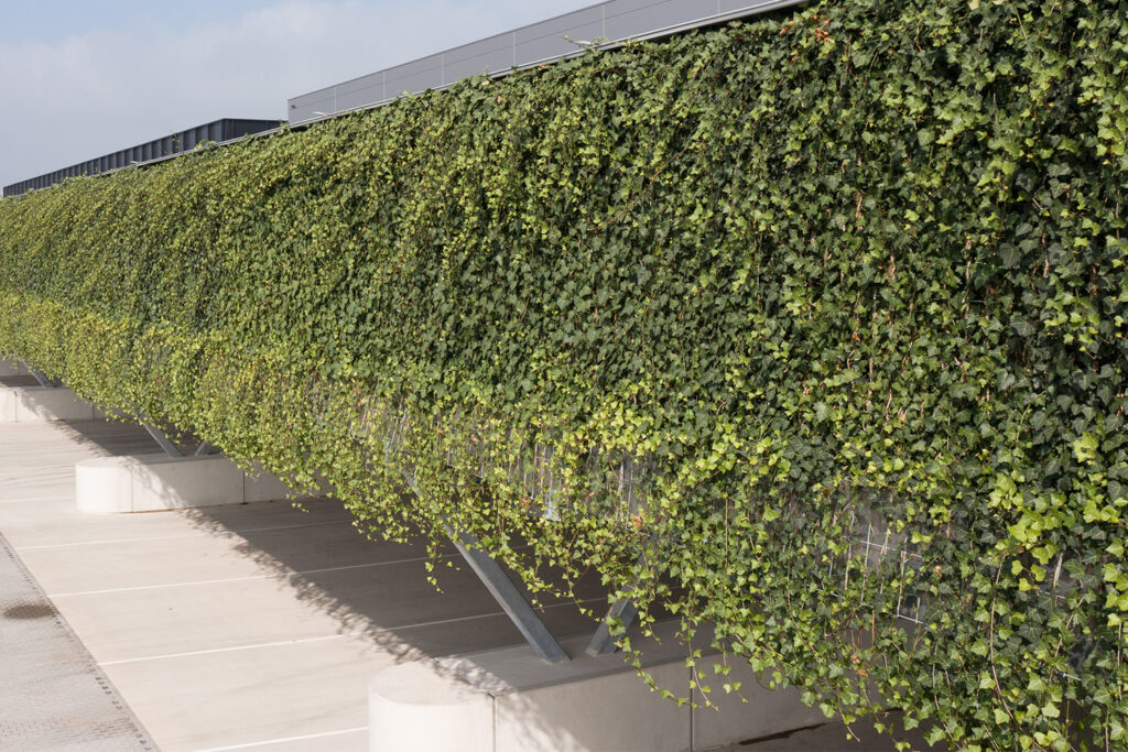 » Green facades for data centers: enhancing sustainability and performance