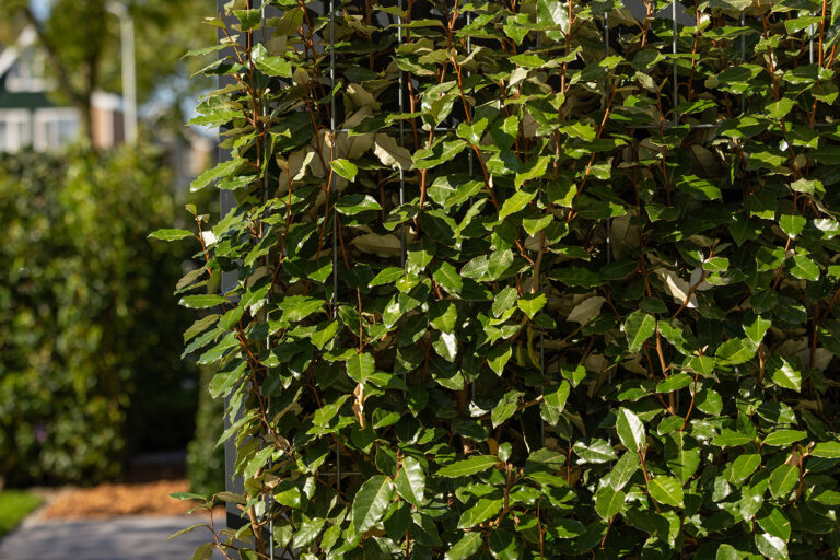 Green fencing solution: Mobilane Green Screen