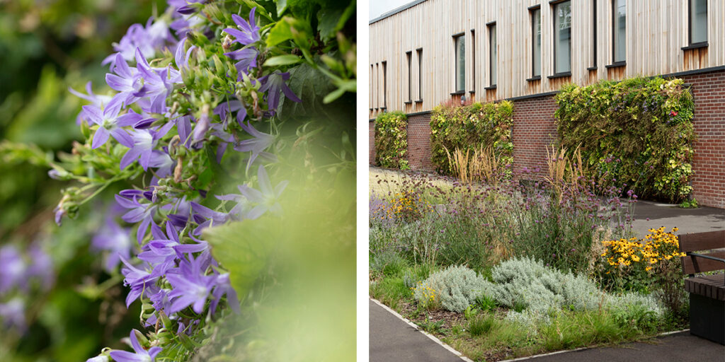An Inspiring Environment at Two Bridges Academy